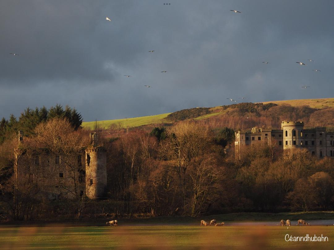 Dailly Scotland: Your Guide to this Charming Village