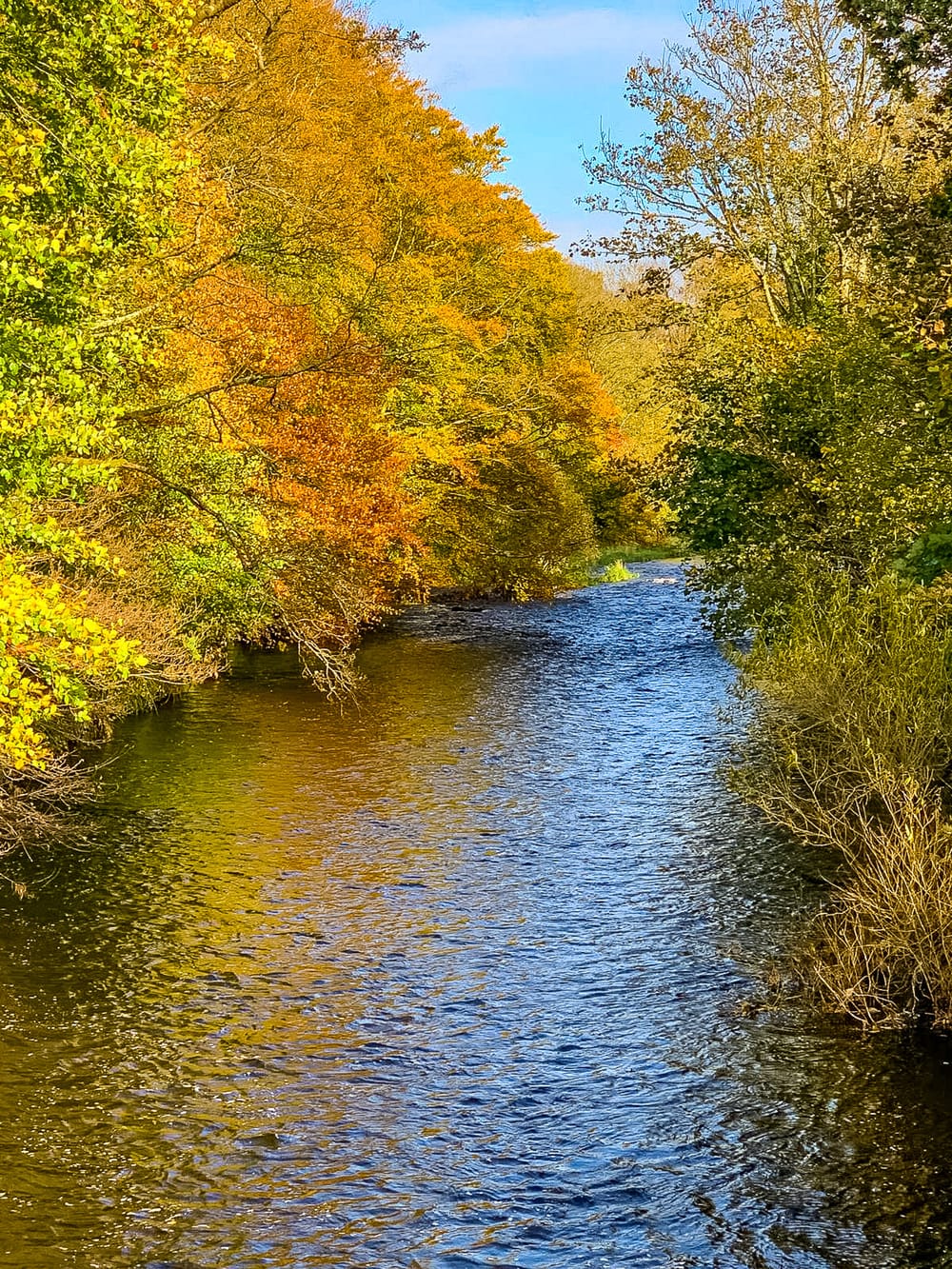 Dailly Scotland: Your Guide to this Charming Village