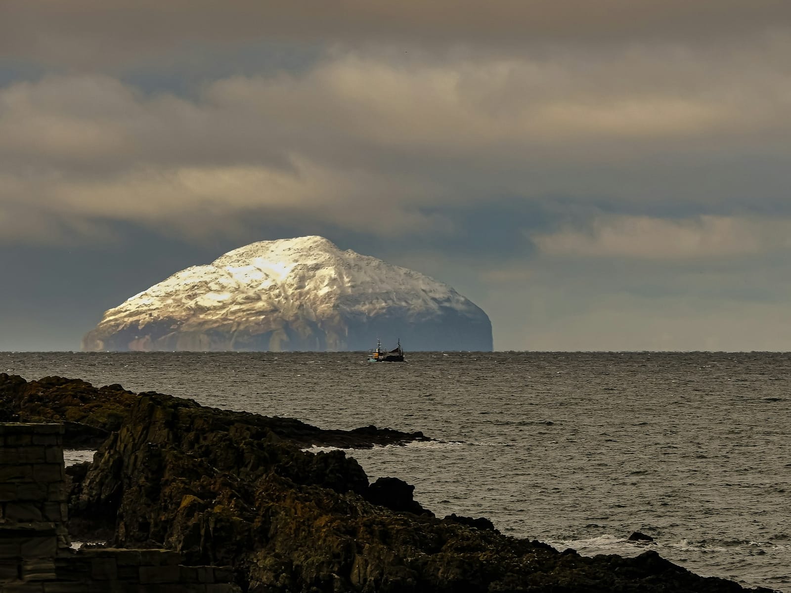 Ailsa Craig Boat Trips | Wildlife Tours from Girvan