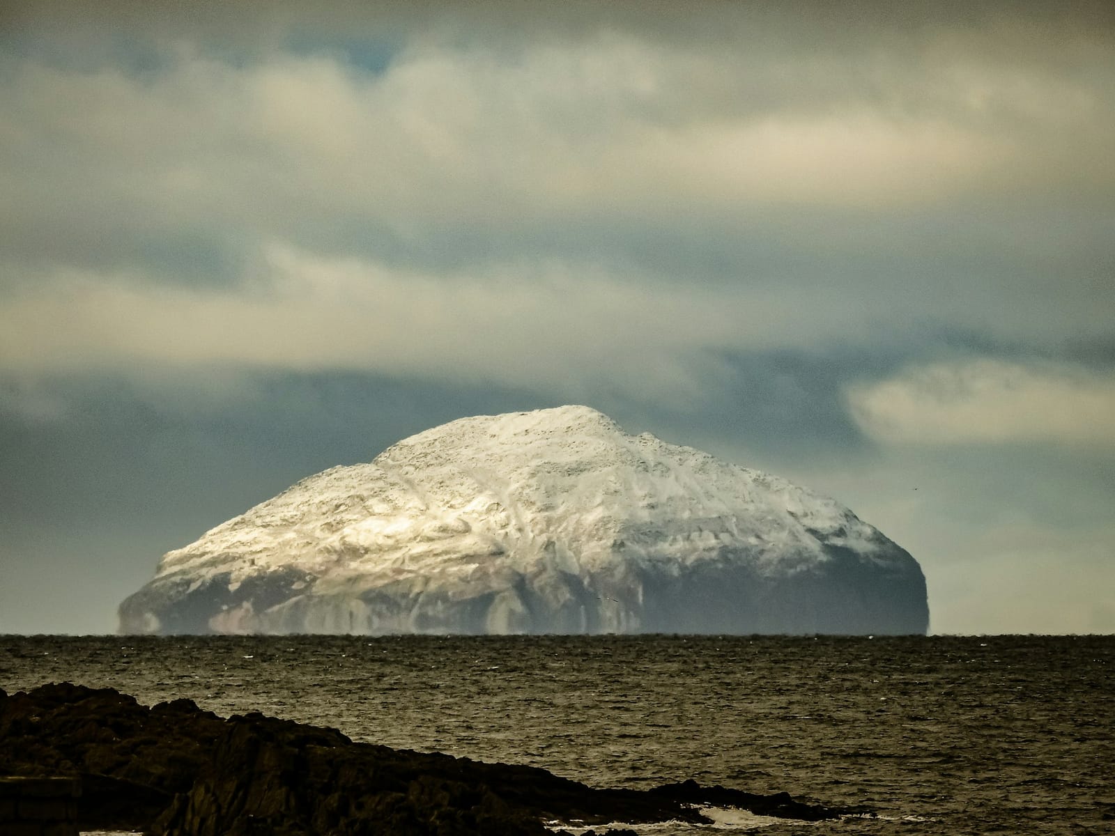 Ailsa Craig Boat Trips | Wildlife Tours from Girvan