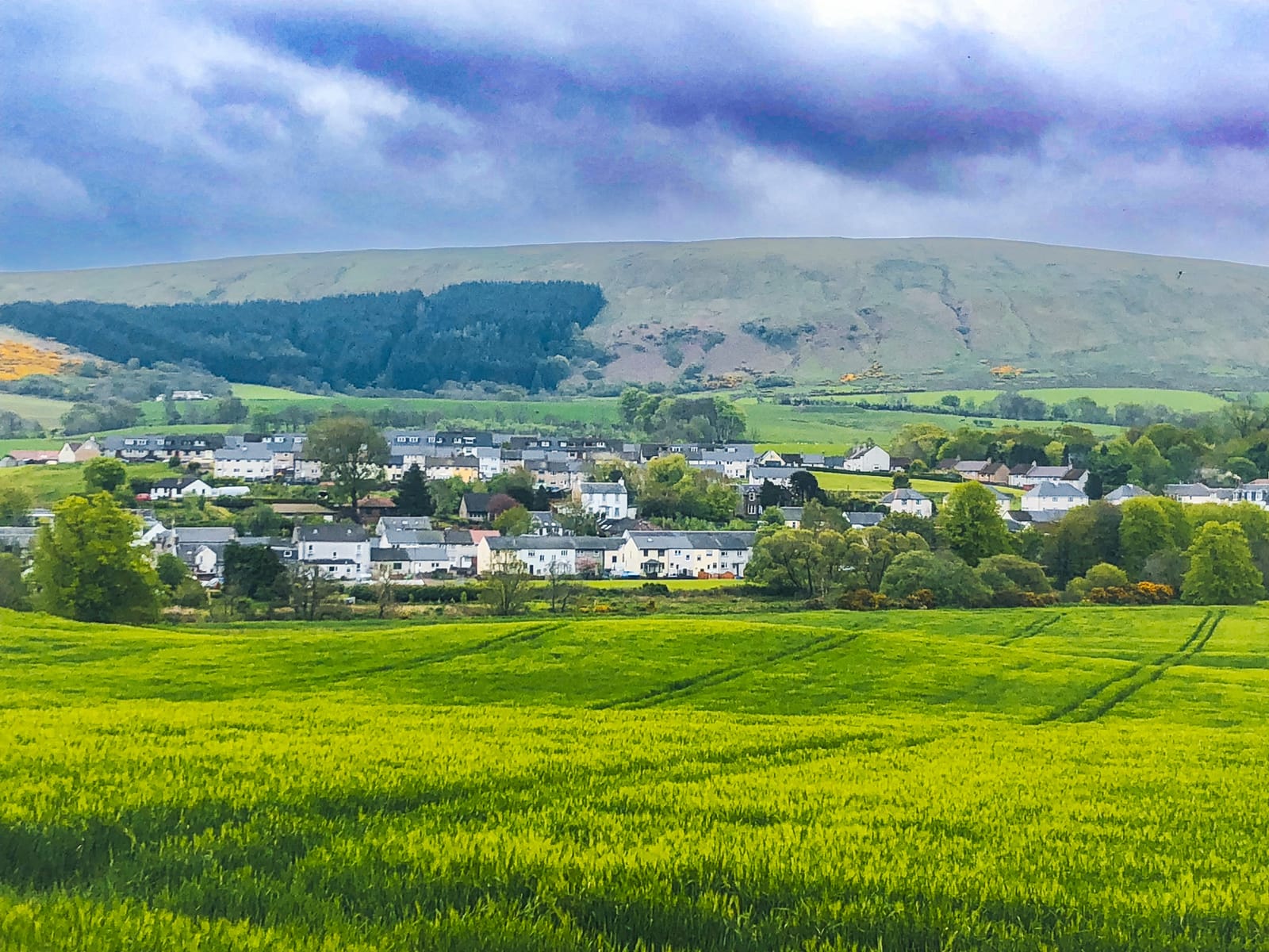 Dailly Scotland: Your Guide to this Charming Village